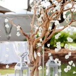 Dame nature s'invite dans la déco ! - Floriane Lemarié