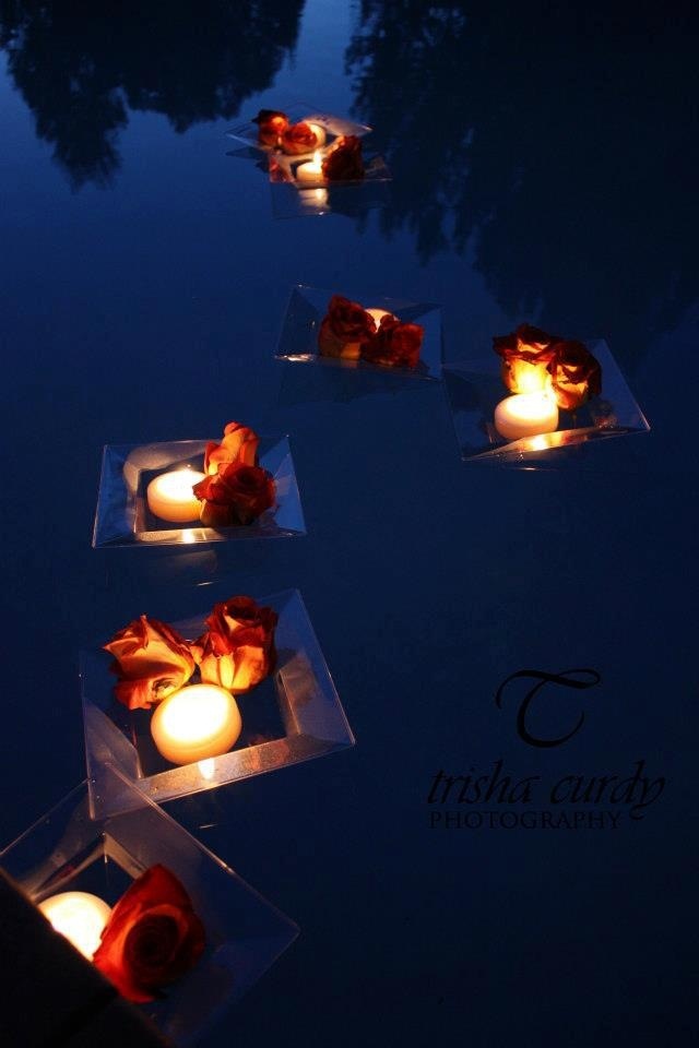 Décors autour de la piscine - Floriane Lemarié